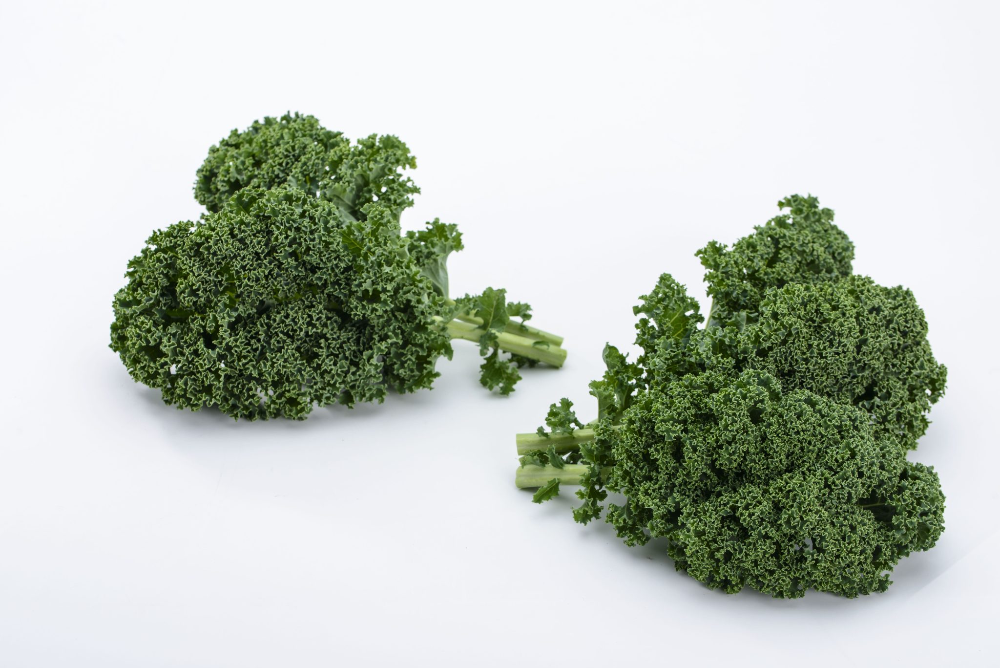 Sakata aterriza en el cultivo del kale con Blue Ridge - Sakata Seed Iberica