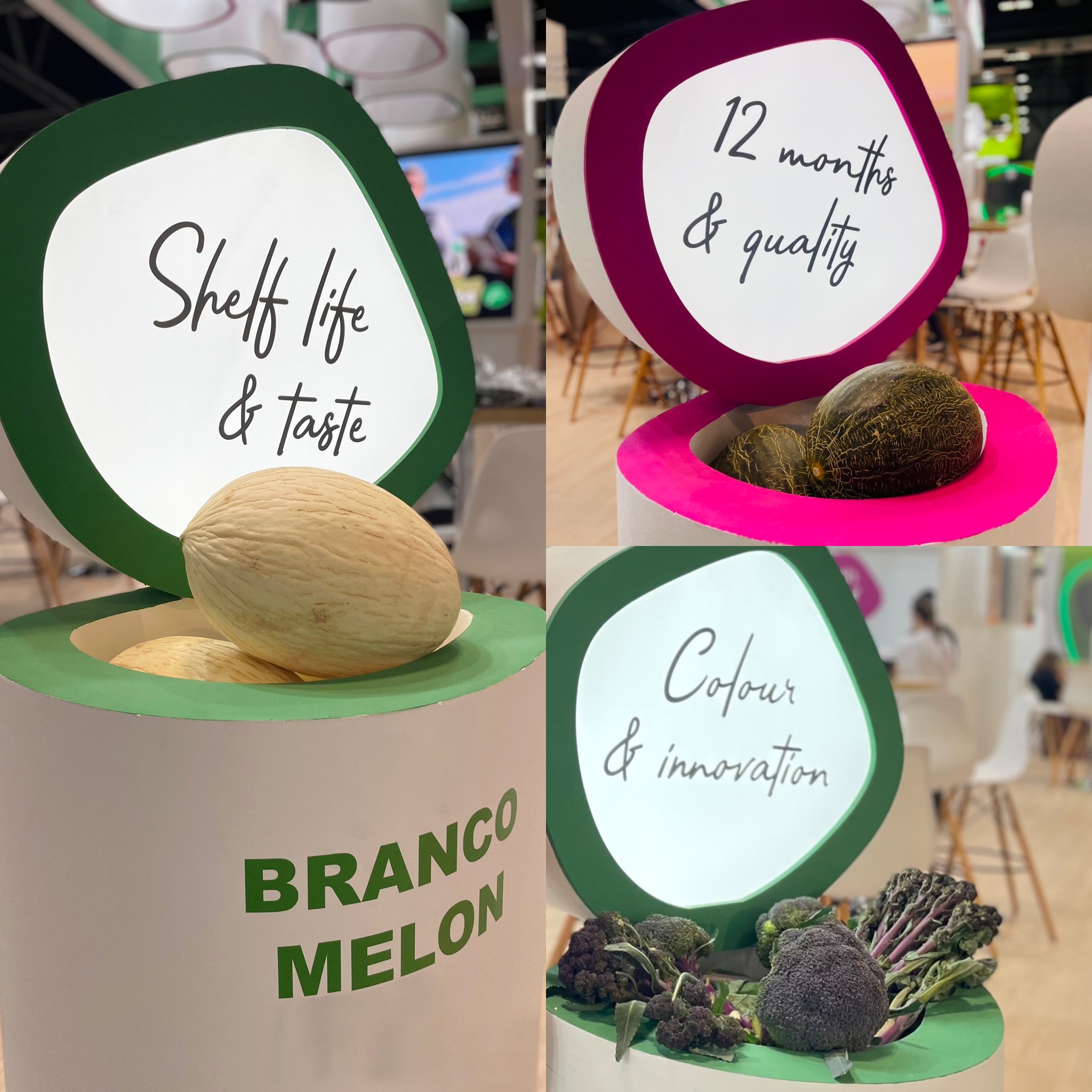 Sakata despide una edición de Fruit Attraction de récord - Sakata Seed ...
